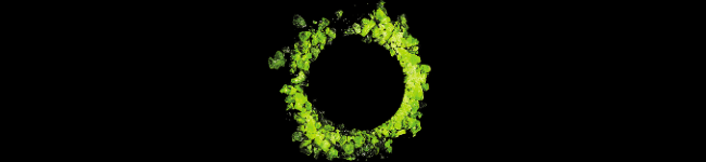 Deloitte | Internal Audit Insights Webinar